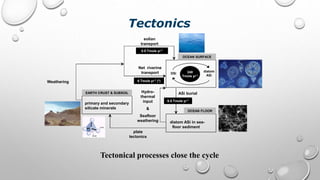 Silicon cycle ppt | PPTX