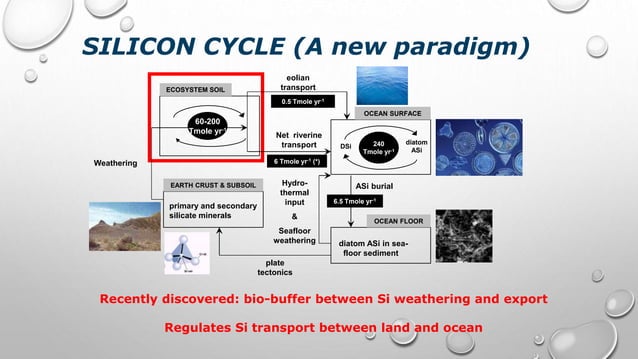 Silicon cycle ppt | PPTX