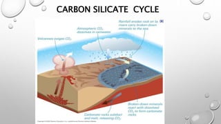Silicon cycle ppt | PPTX