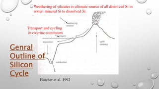 Silicon cycle ppt | PPTX