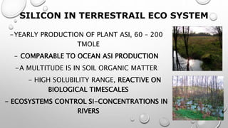 Silicon cycle ppt | PPTX