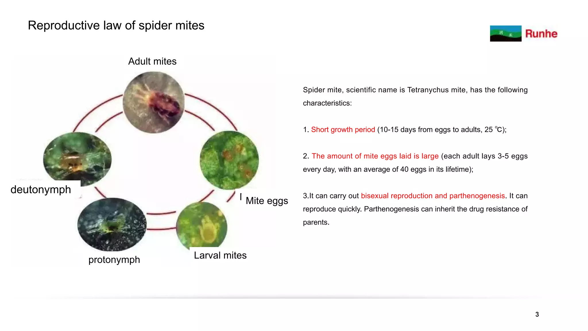 Silicone adjuvant on control of citrus spider mite.pdf