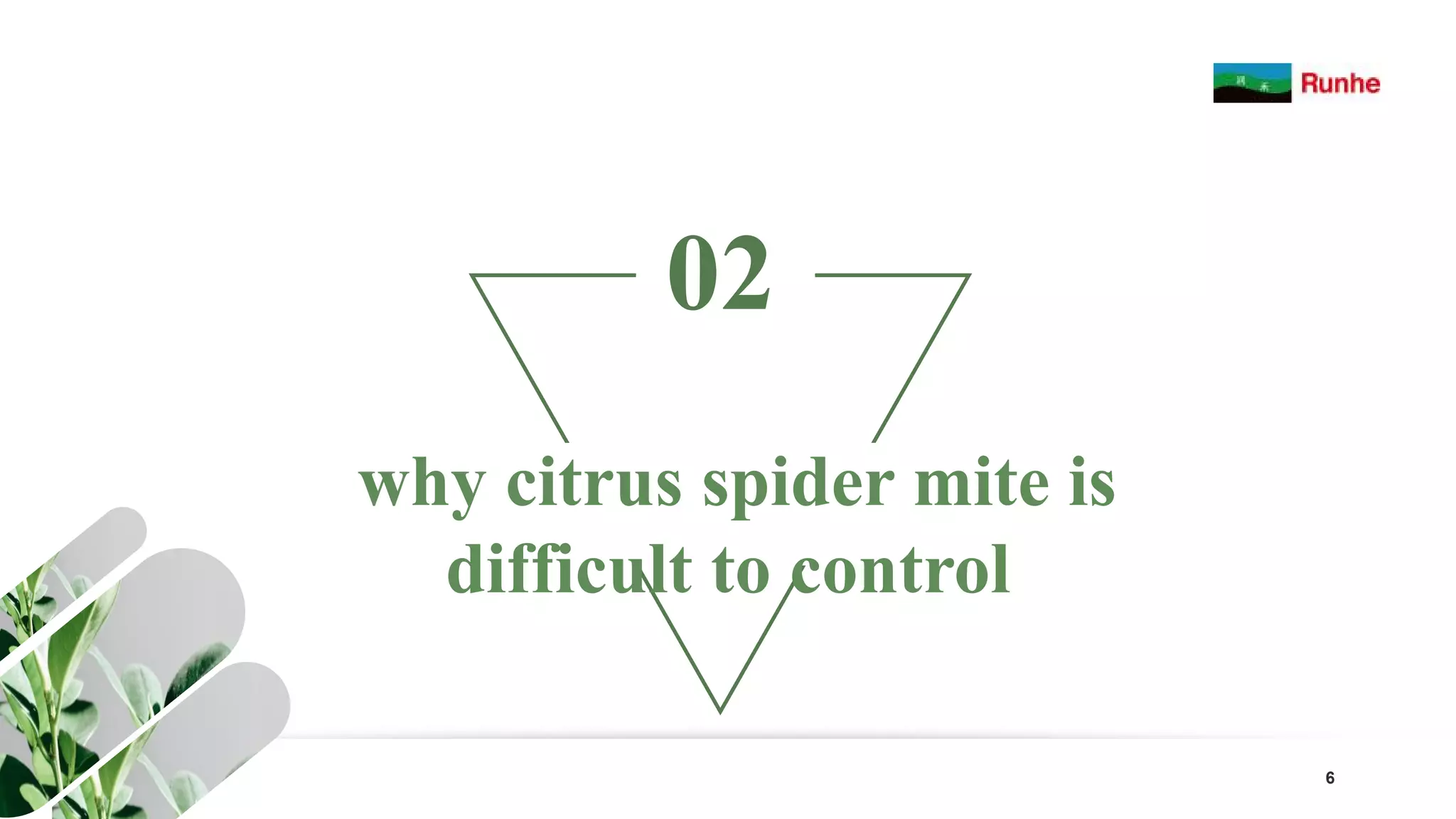 Silicone adjuvant on control of citrus spider mite.pdf