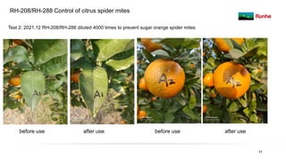 Silicone adjuvant on control of citrus spider mite.pdf