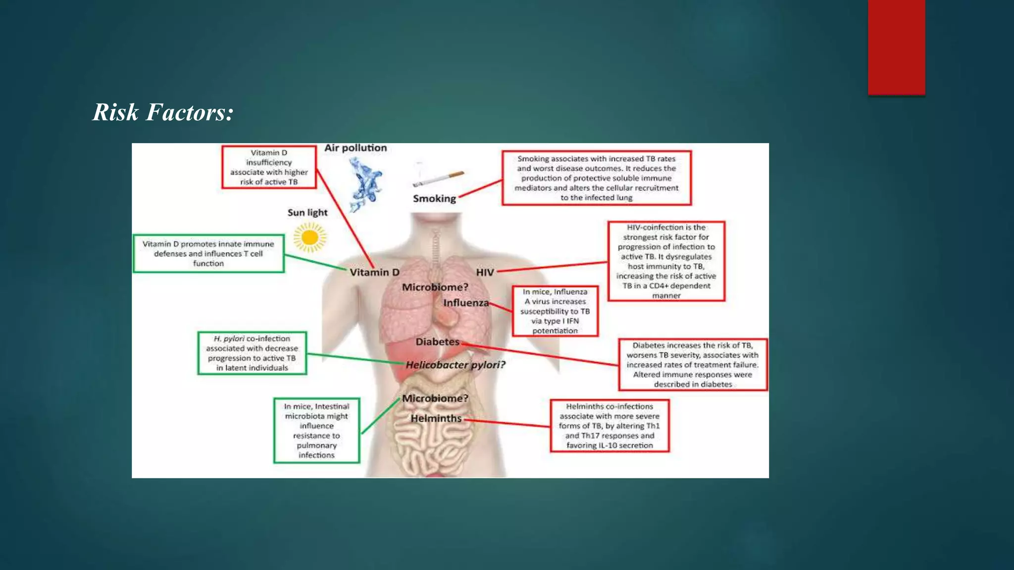 Silico tuberculosis | PPTX
