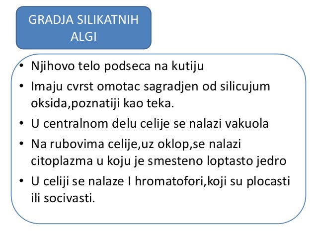 Silikatne alge