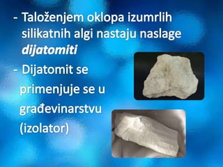 Silikatne alge (bacillariophyta) | PPT