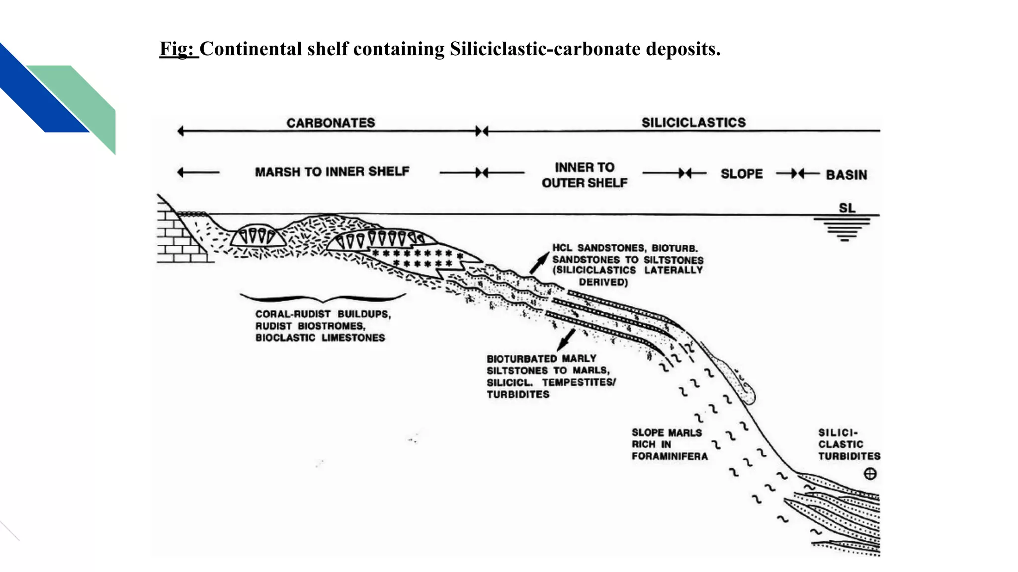 siliciclastic and carbonate dominant shelf.pdf