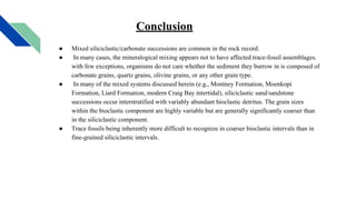 siliciclastic and carbonate dominant shelf.pdf