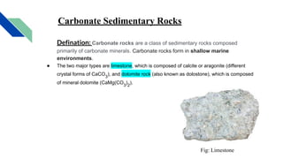 siliciclastic and carbonate dominant shelf.pdf