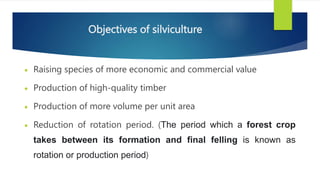 siliviculture.pptx