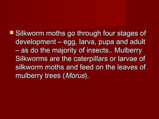 Presentation on Silkworm | PPT