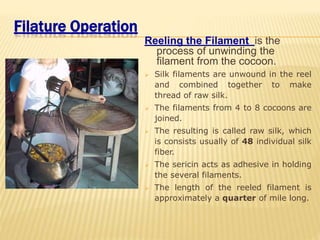 Natural Animal fiber - Silk | PPTX
