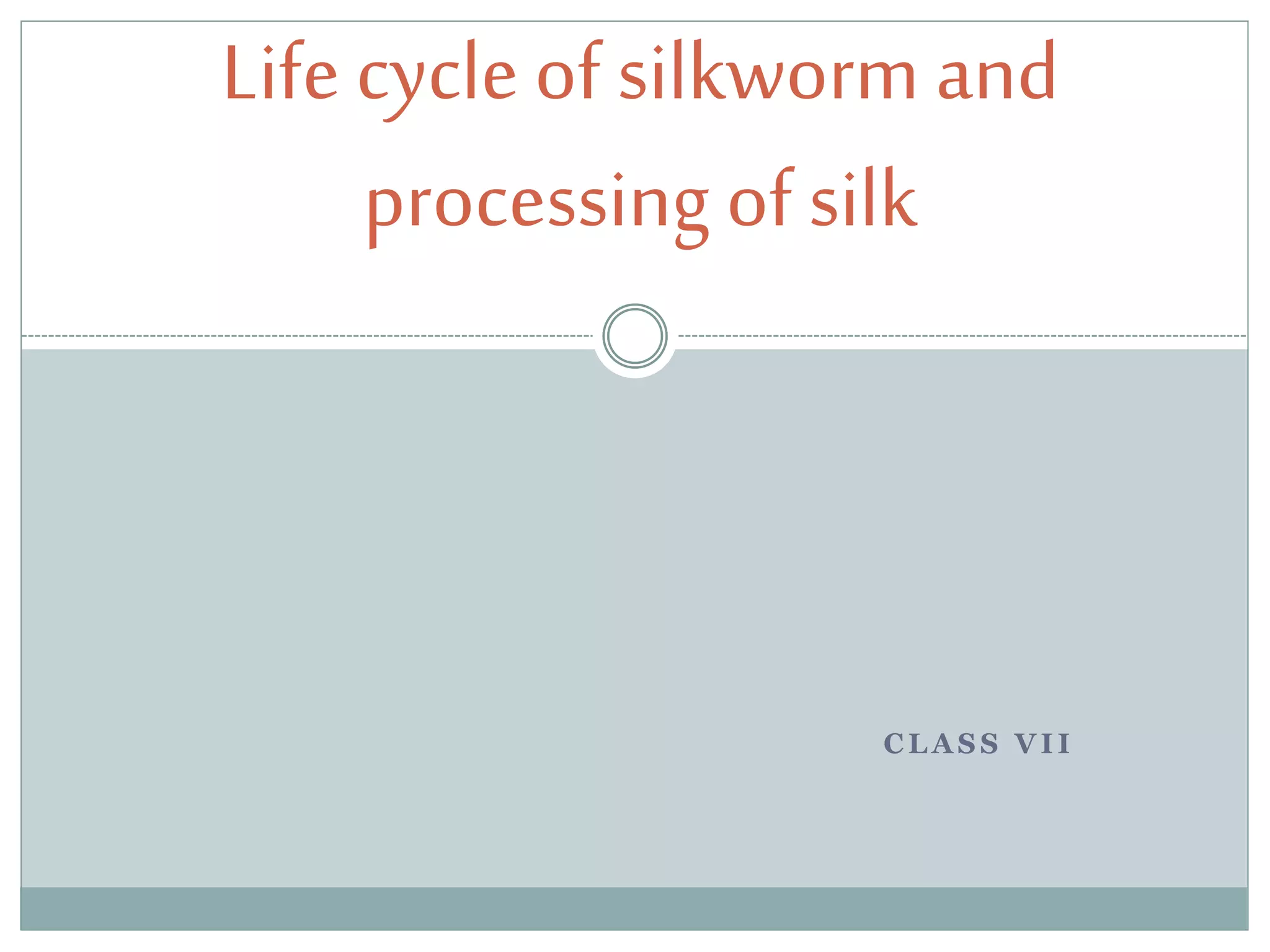 life cycle of silkworm | PPTX