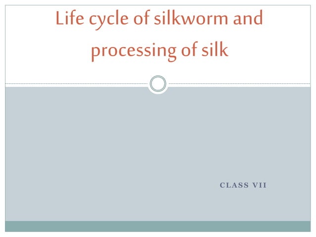 life cycle of silkworm | PPT