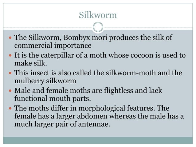 life cycle of silkworm | PPTX | Needlework | Arts and Crafts