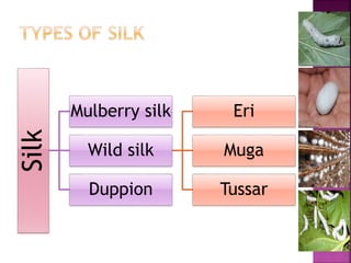 Silk | PPTX