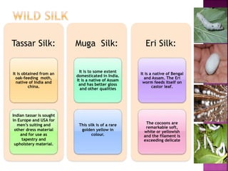 Silk | PPTX
