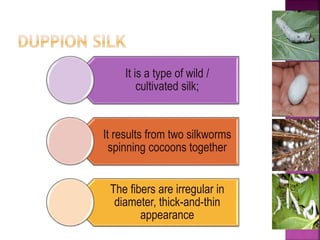 Silk | PPTX