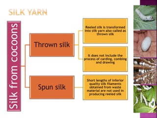 Silk | PPTX