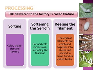 Silk | PPTX