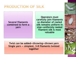 Silk | PPTX