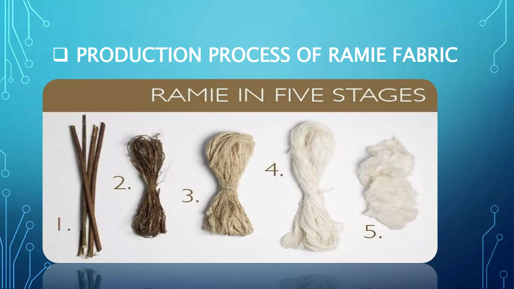 Presentation of Silk and ramie fiber | PPTX