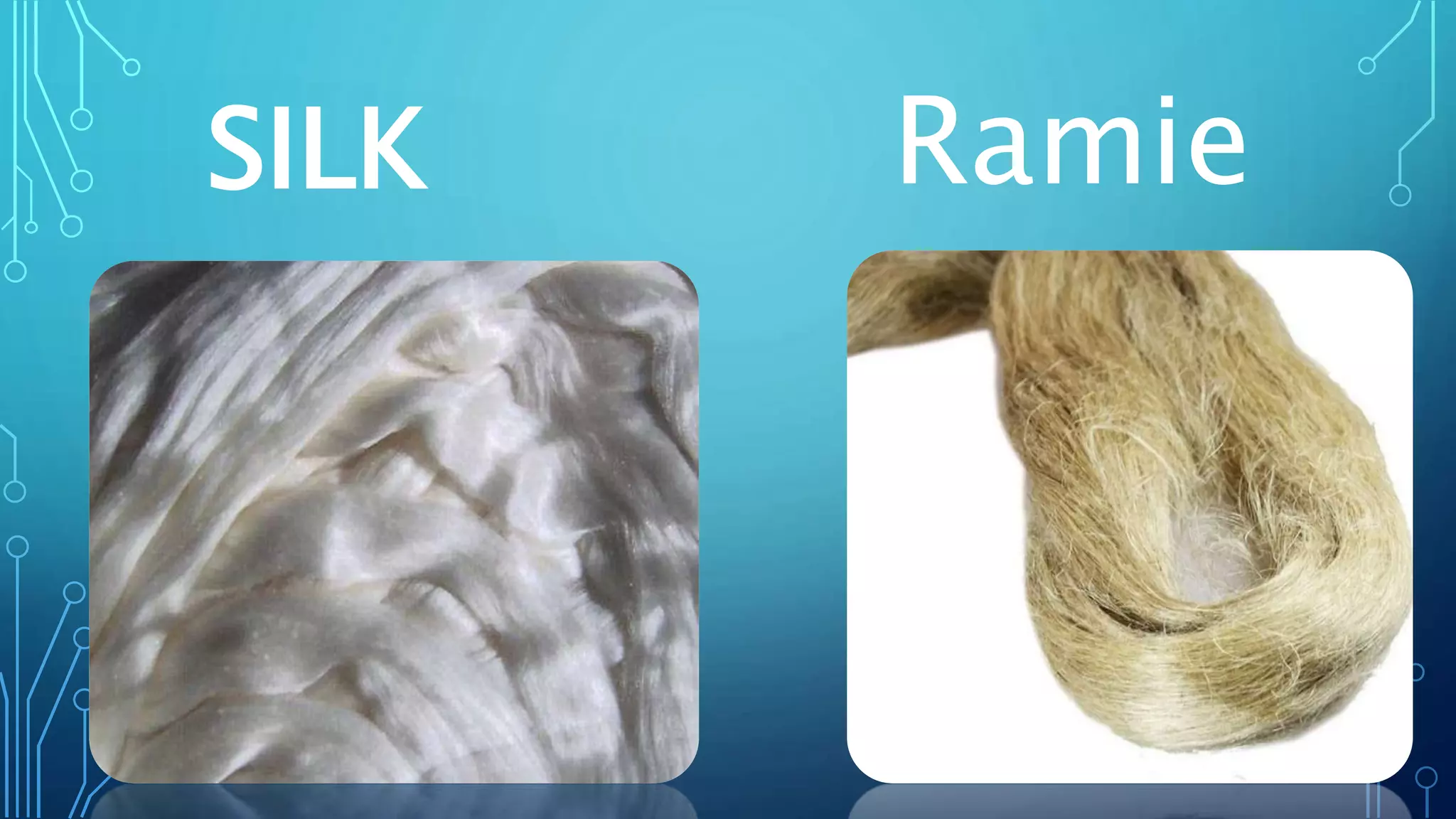 Presentation of Silk and ramie fiber | PPTX