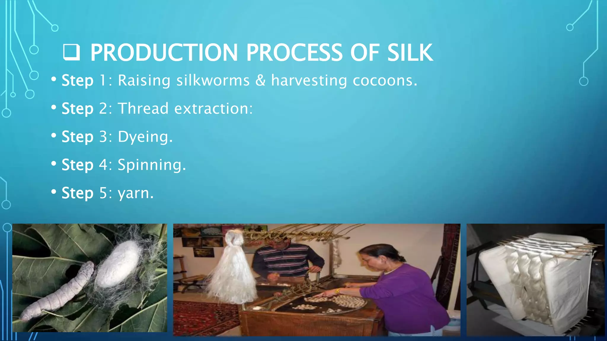 Presentation of Silk and ramie fiber | PPTX