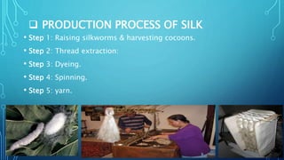 Presentation of Silk and ramie fiber | PPTX | Women\'s Intimates and ...