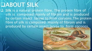Silk Fiber | PPTX