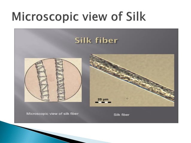 Silk fiber | PPT