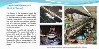 Silk Manufacturing | PPTX