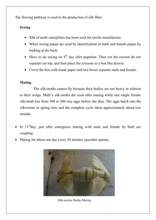 Silk manufacturing process | DOCX