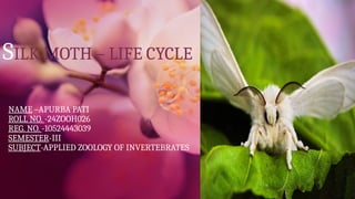 SILK MOTH – LIFE CYCLE . ABOUT EGG , LARVA , PUPA , ADULT. | PPTX