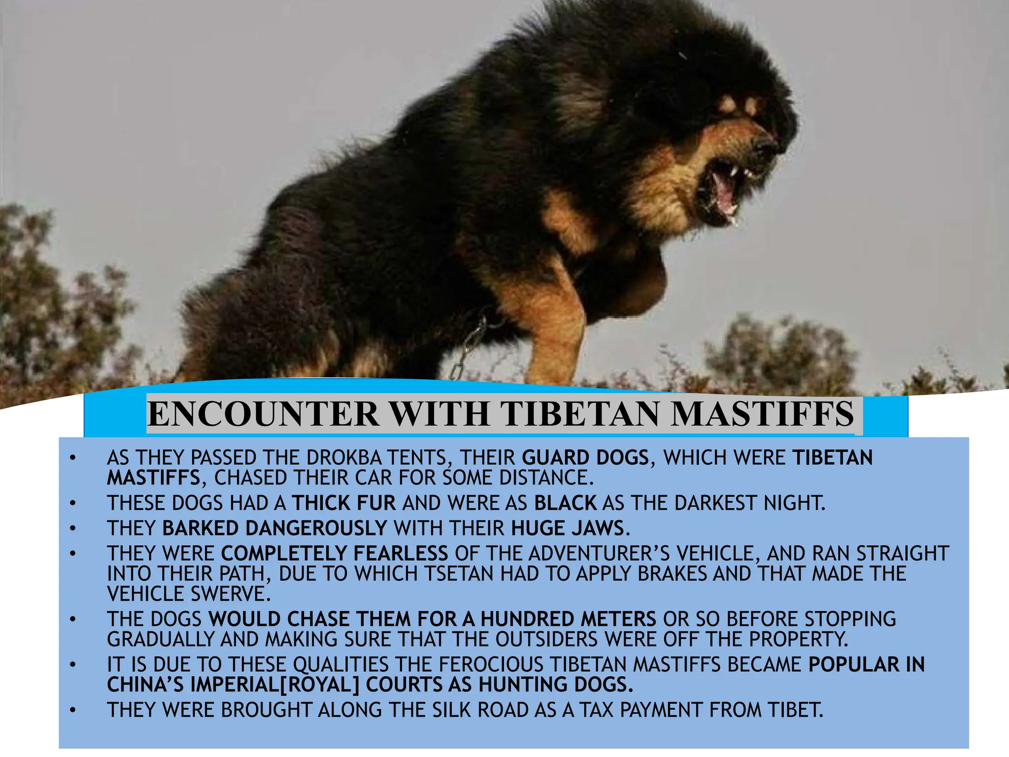 SILK ROAD PPT this is a chapter from class 11 CBSE . | PPTX