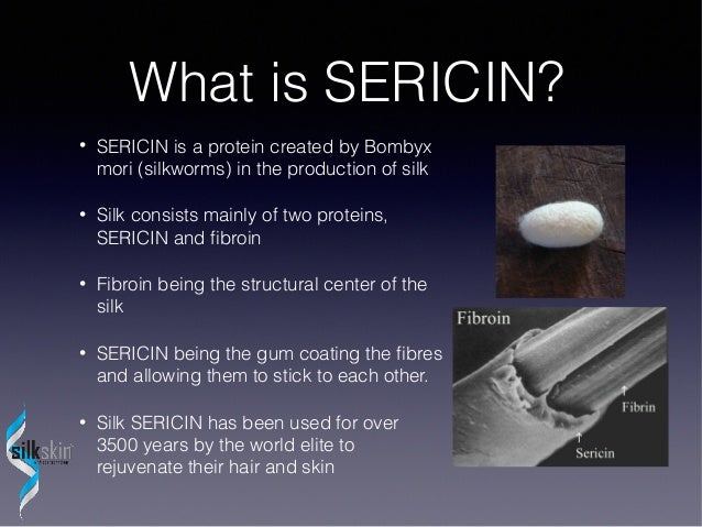 SilkSkin Glove Presentation