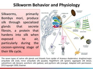 SILKWORM | PDF