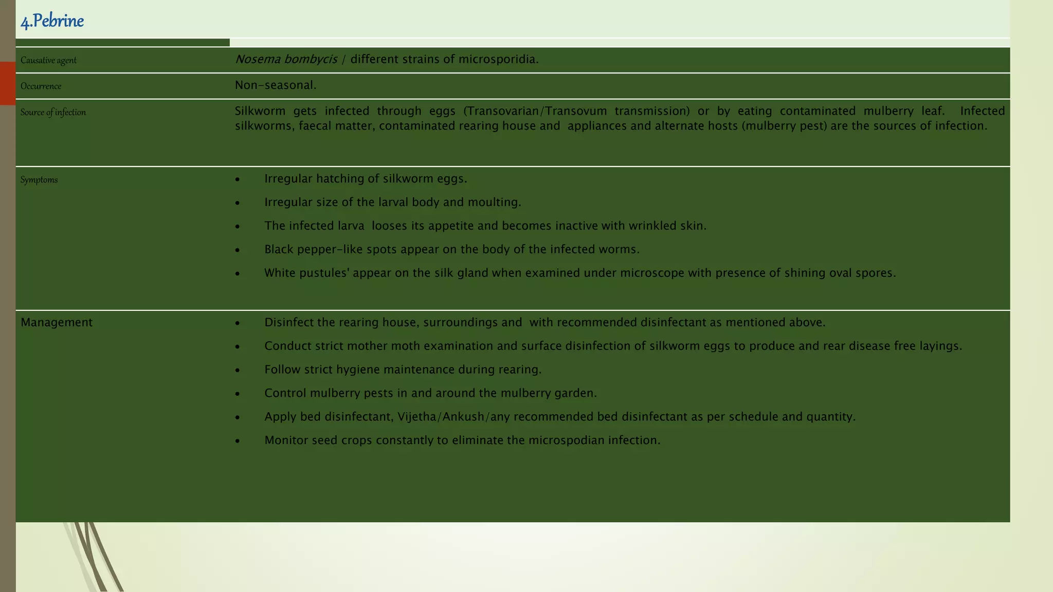 Silk worm presentation Pests and Diseases of Silkworm and Their ...