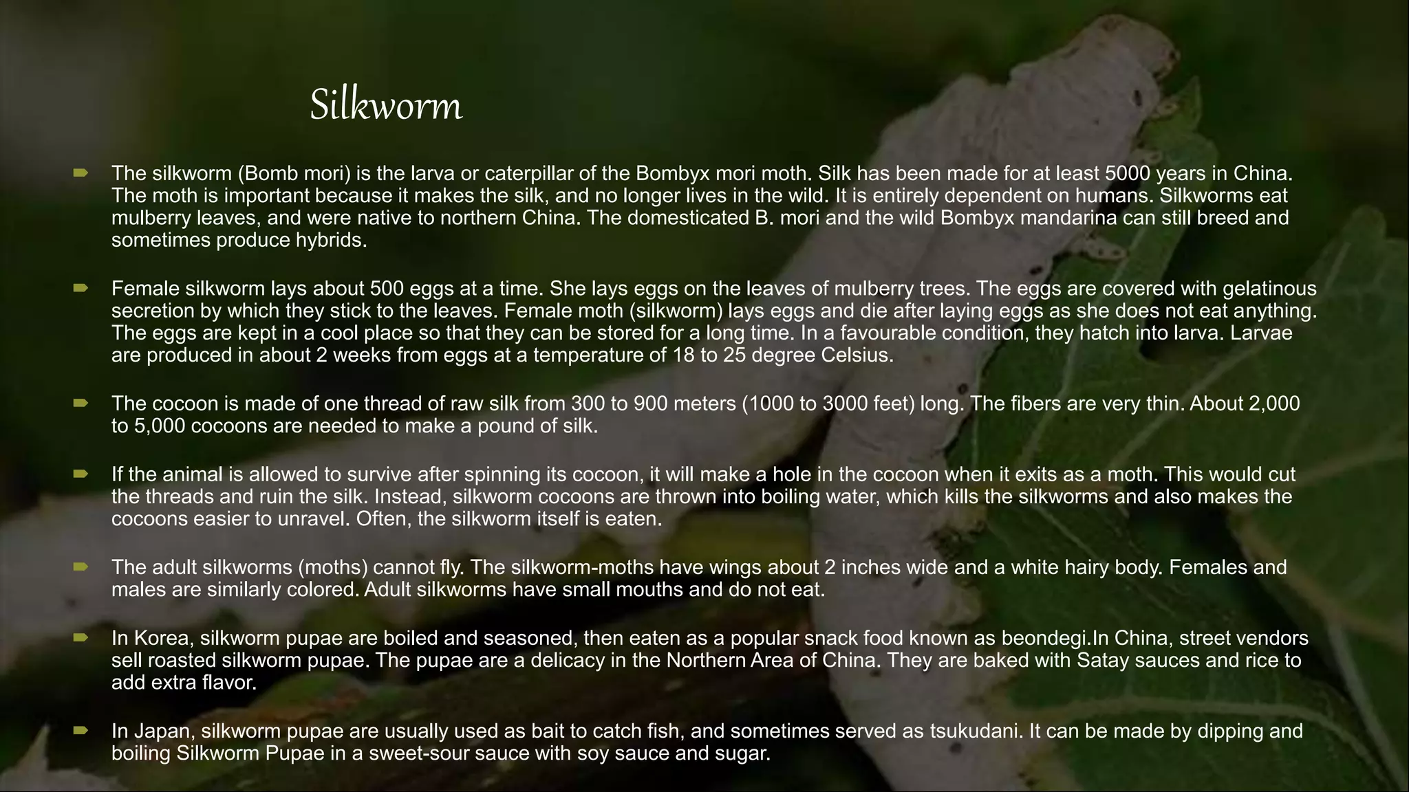 Silk worm presentation Pests and Diseases of Silkworm and Their ...