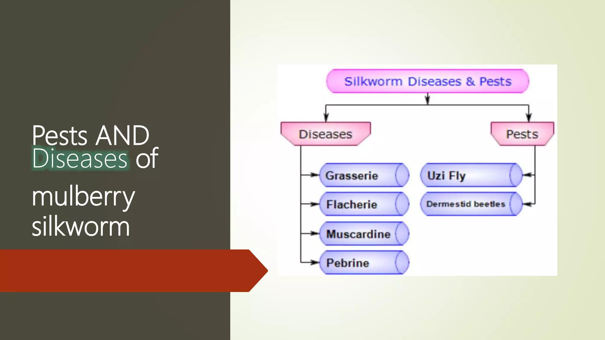 Silk worm presentation Pests and Diseases of Silkworm and Their ...