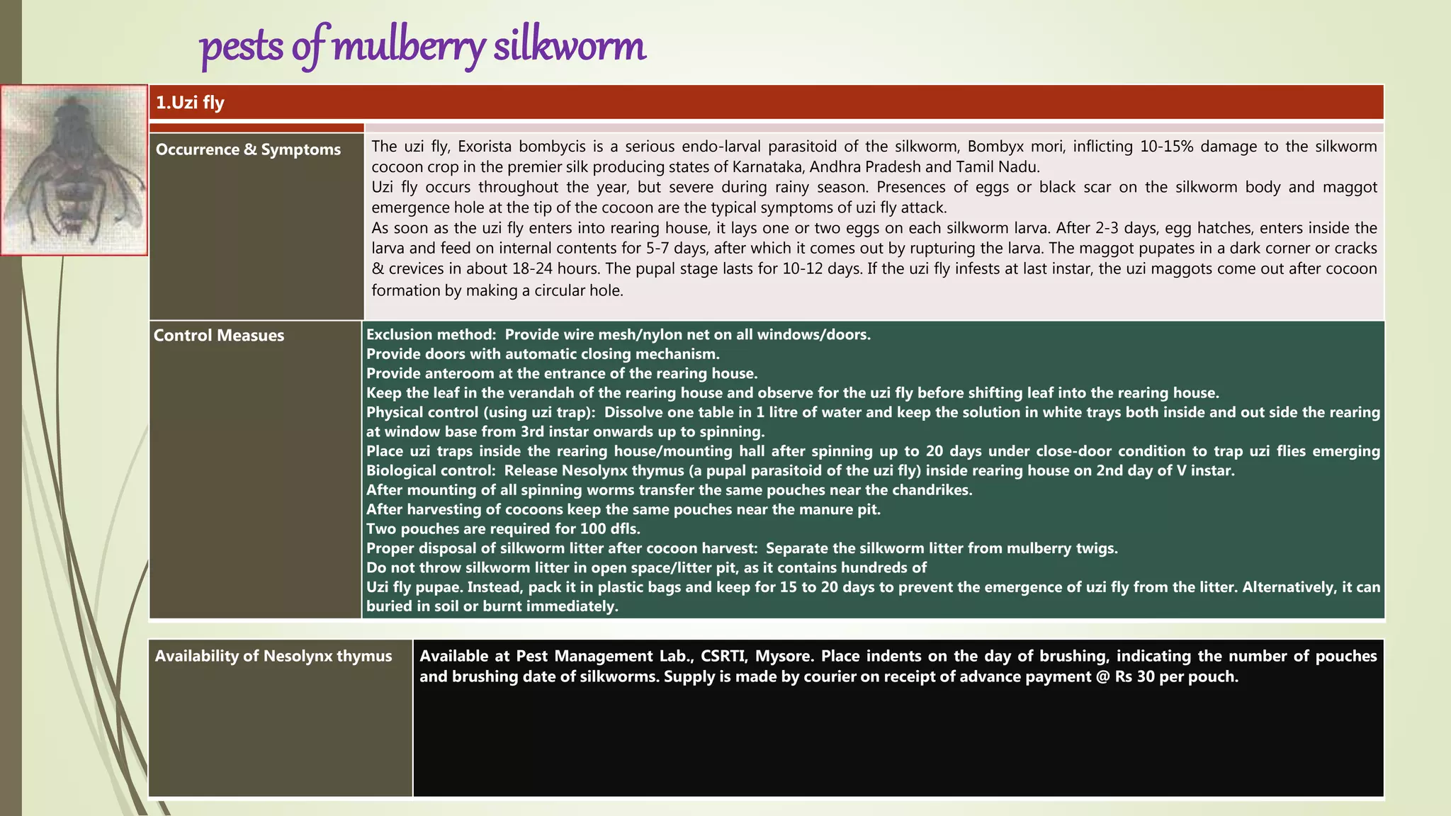 Silk worm presentation Pests and Diseases of Silkworm and Their ...