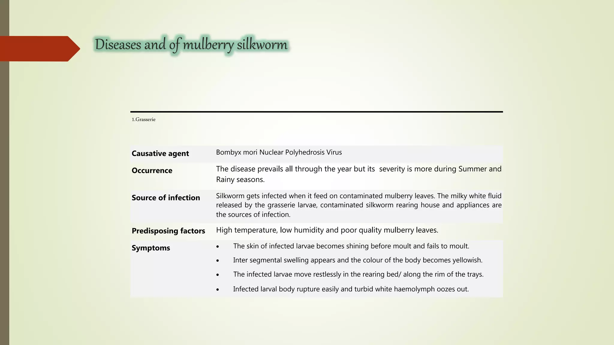 Silk worm presentation Pests and Diseases of Silkworm and Their ...