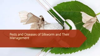 Silk worm presentation Pests and Diseases of Silkworm and Their ...