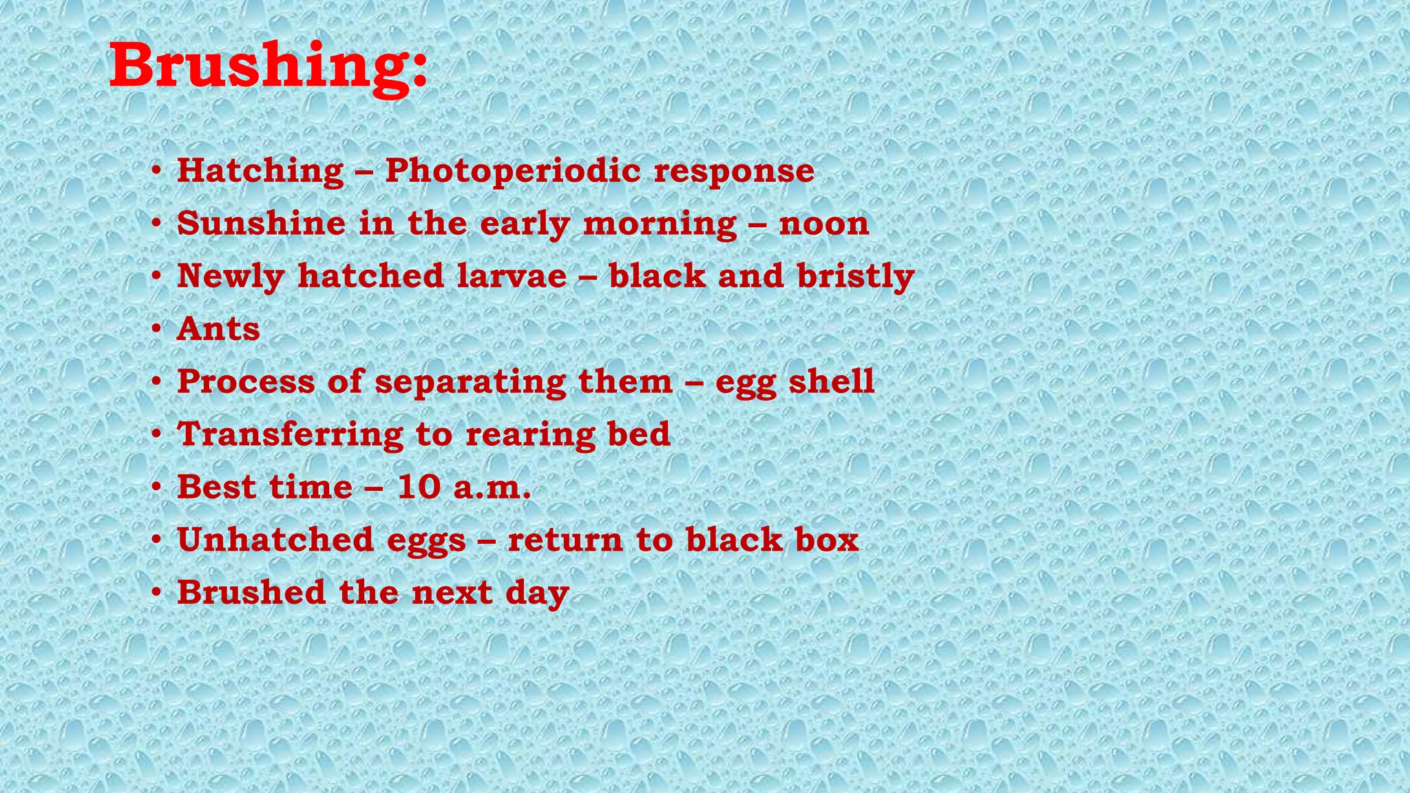 Silkworm Rearing.pptx
