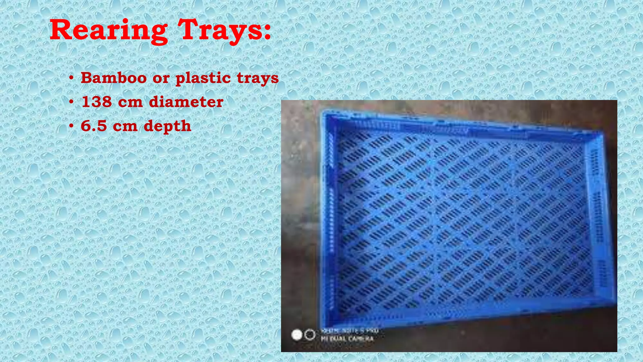 Silkworm Rearing.pptx