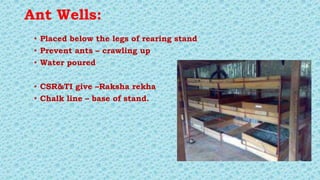 Silkworm Rearing.pptx