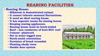 Silkworm Rearing House