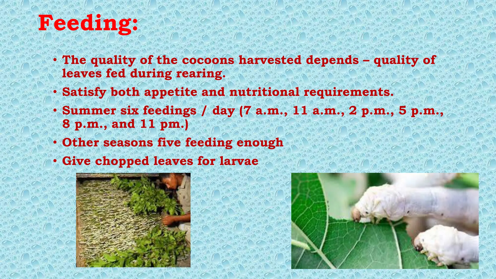 silkwormrearing-220628071406-72ff0a67 (1).pdf