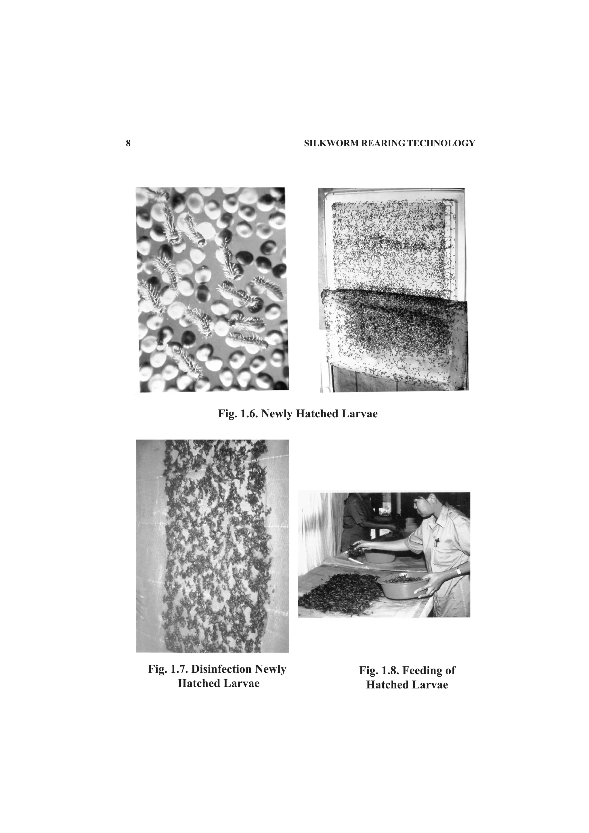 Silkworm rearing technology | PDF